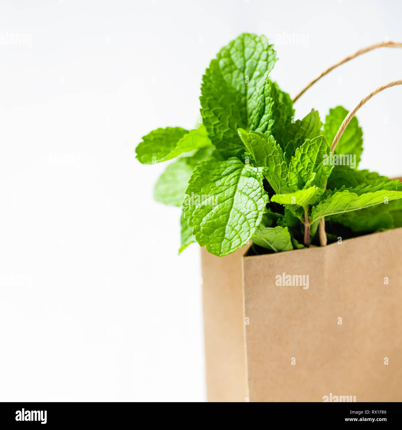 Shopping leaf hi-res stock photography and images - Alamy