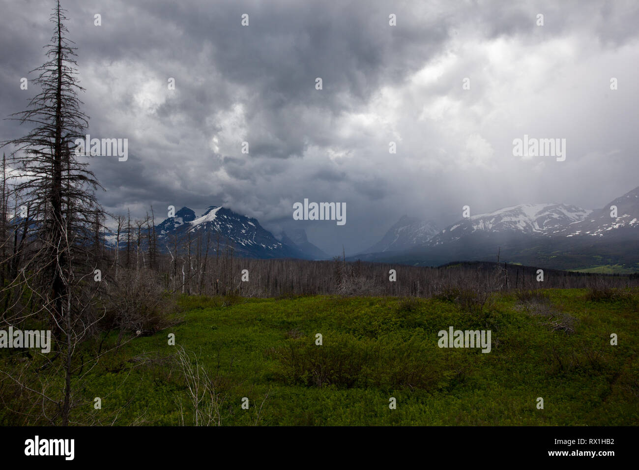 Glacier county hi-res stock photography and images - Alamy