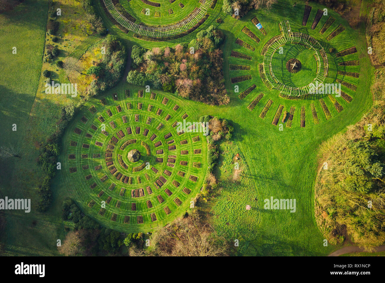 Rose Garden Plan View GARDEN DESIGN Rose Notes
