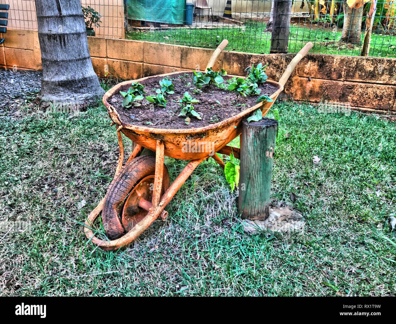 Serra policorte hi-res stock photography and images - Alamy