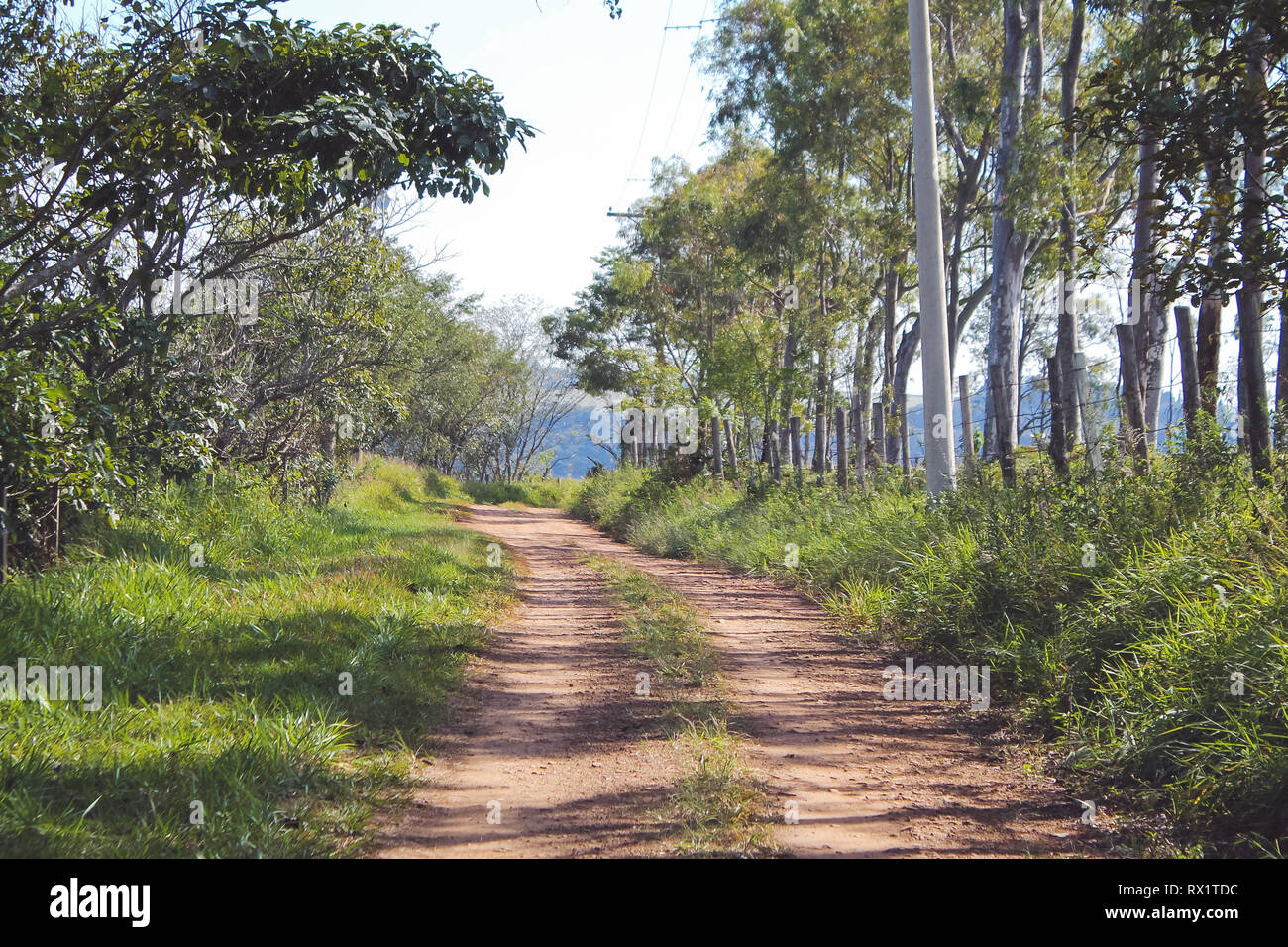 Road snacks hi-res stock photography and images - Alamy