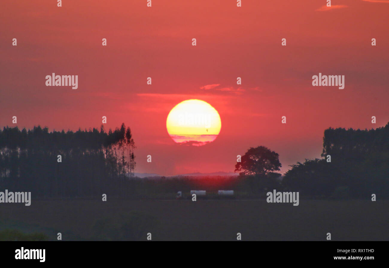 various food dishes, pizza, sphirra, snacks and various Stock Photo - Alamy