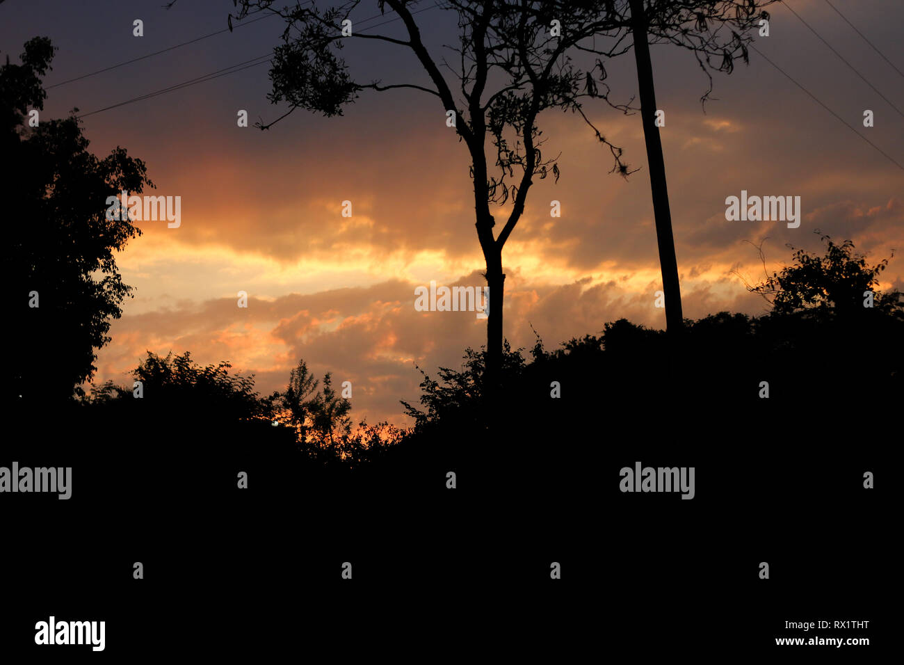 various food dishes, pizza, sphirra, snacks and various Stock Photo - Alamy