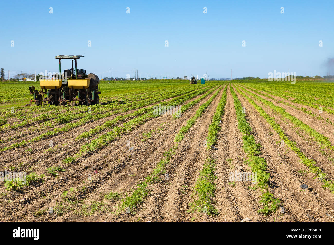 Tractor spraying pesticides on vegetable field with sprayer, Homestead ...