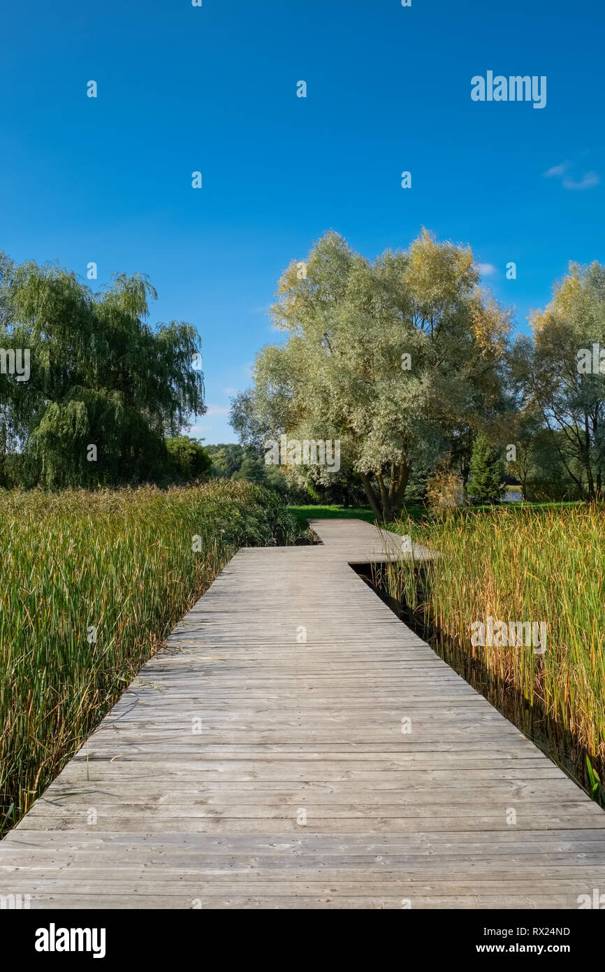 Ecological environment hi-res stock photography and images - Alamy