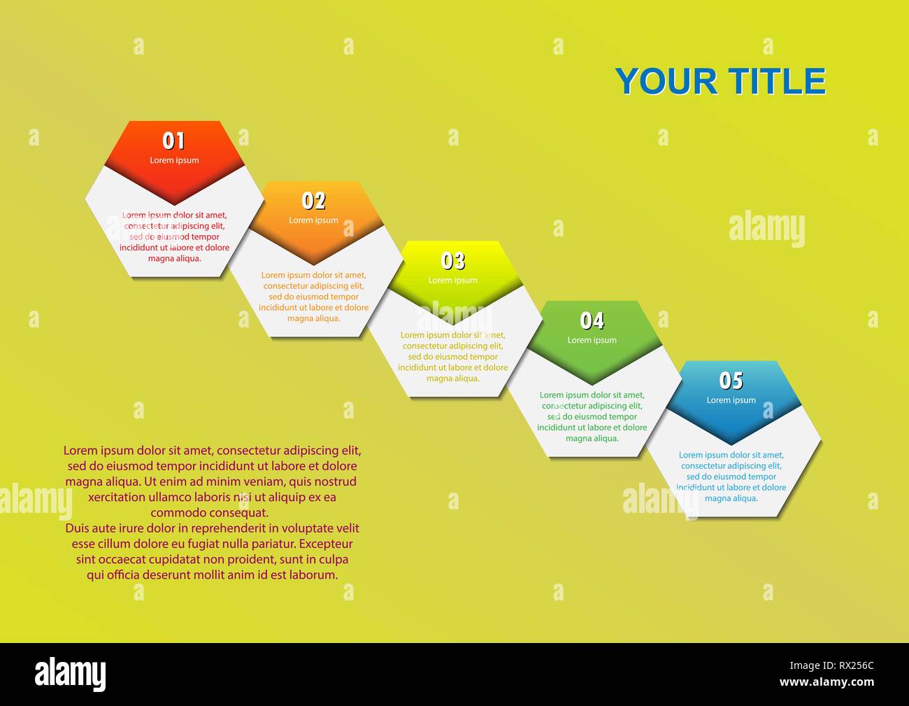 Infographic of the stages of business development to layout and design ...