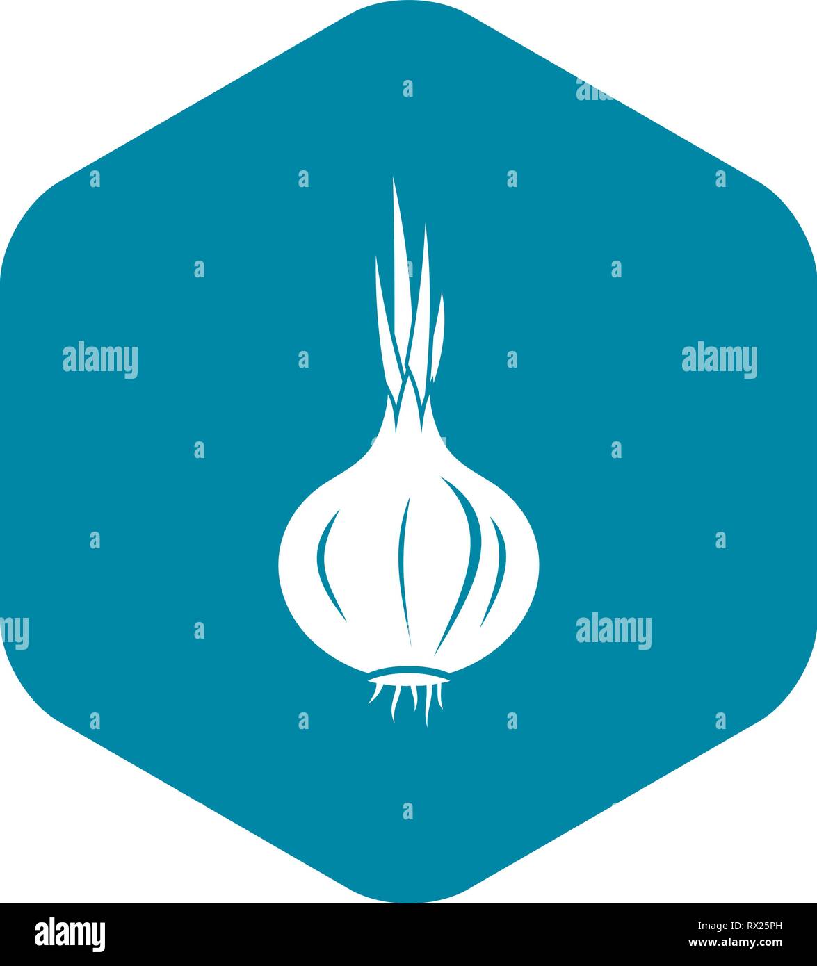 Onion bulb icon simple hi-res stock photography and images - Alamy