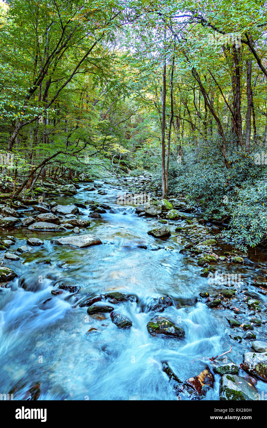 Trees Over Stream Stock Photo - Alamy