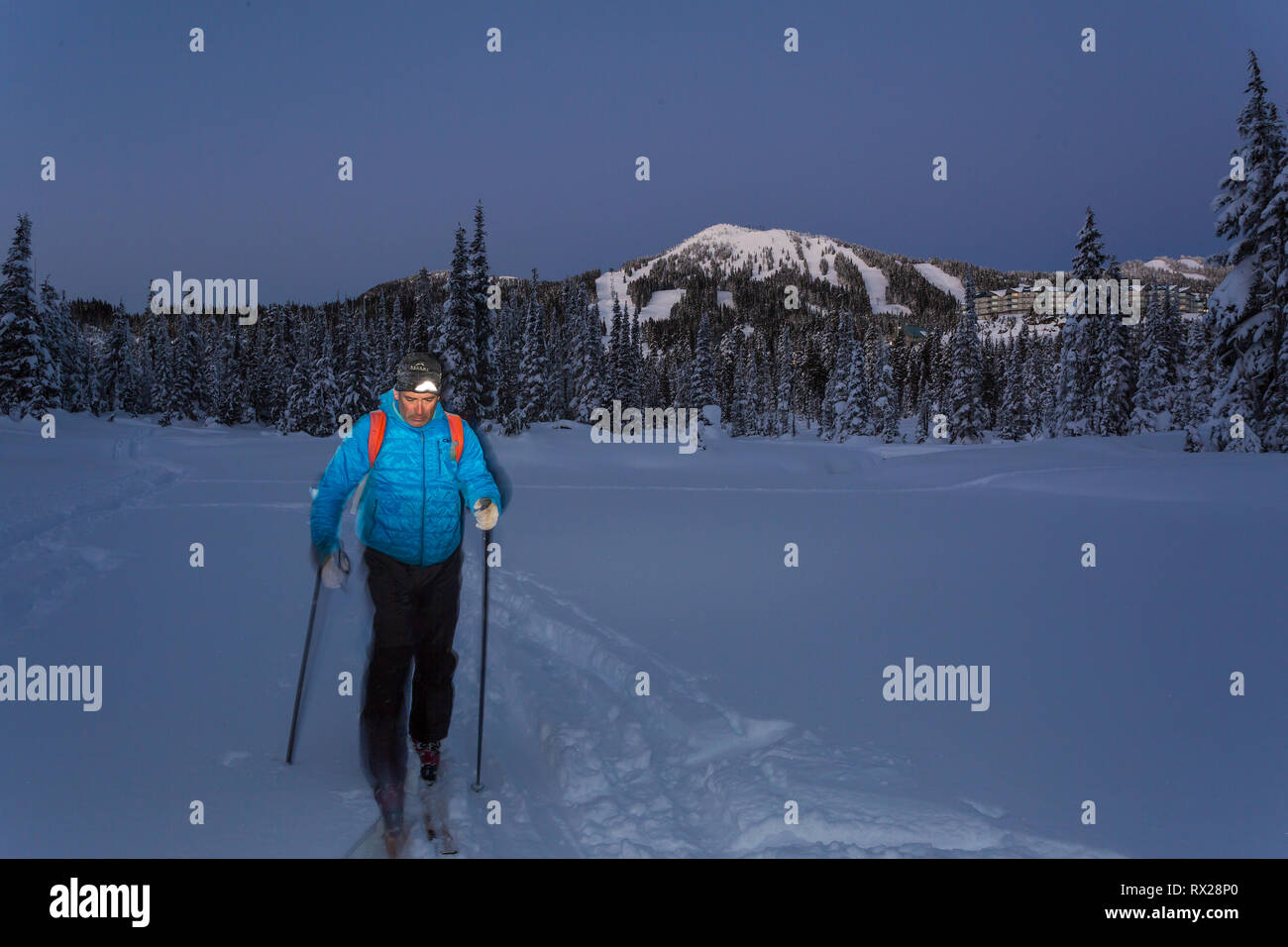 A back country skier works his way through Paradise Meadows at night ...