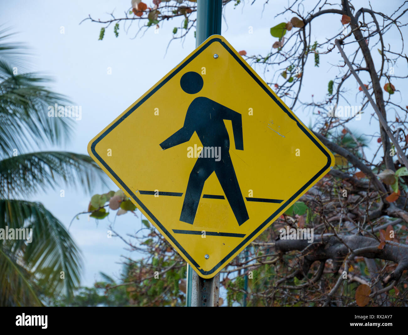 Signboard yellow Signs for Pedestrians in Symbol Warning Sign at ...
