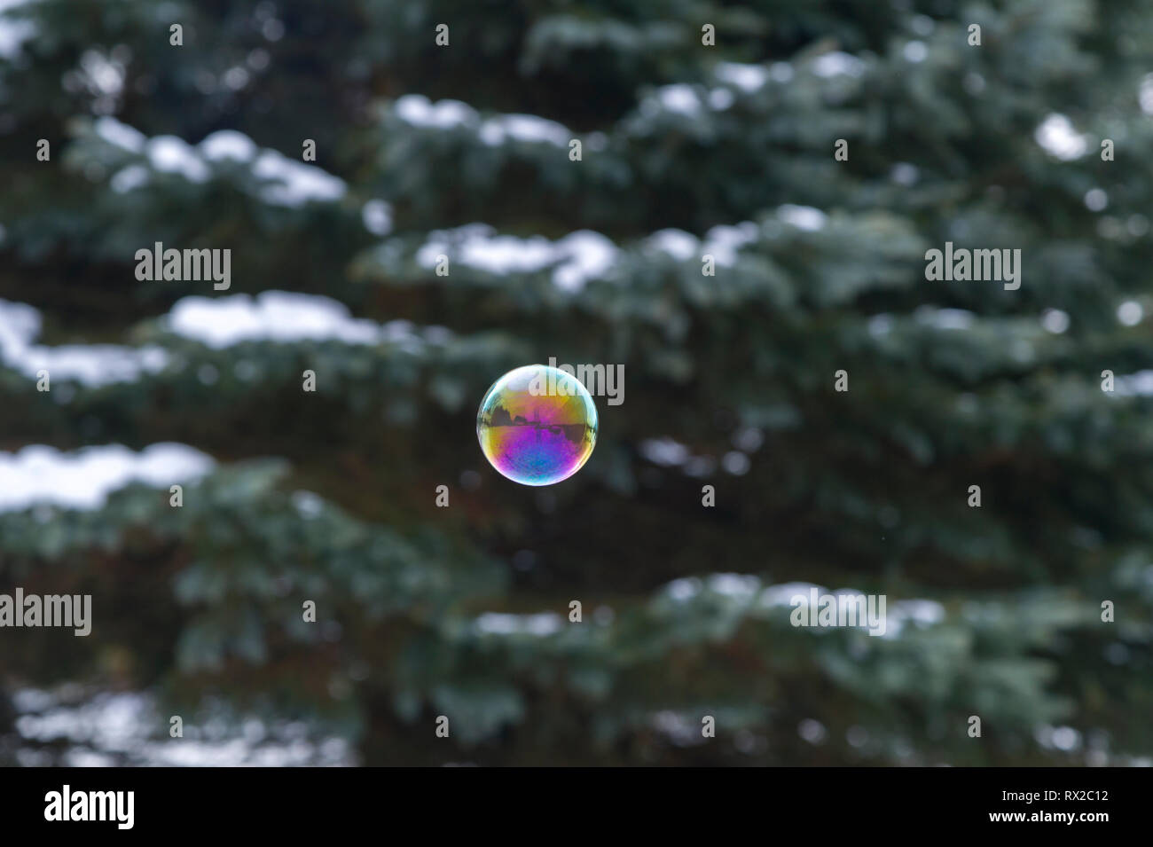 Lindy Martin High Resolution Stock Photography and Images - Alamy