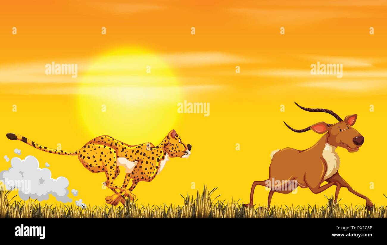 A leopard hunting for food illustration Stock Vector Image & Art - Alamy