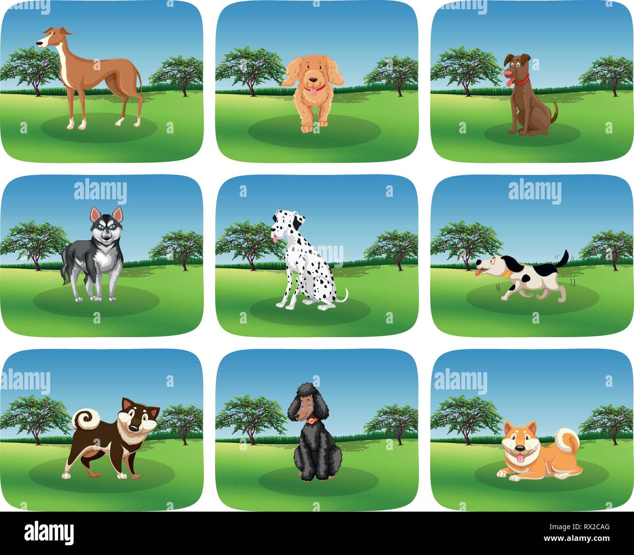 Golden retriever in dog Stock Vector Images - Alamy