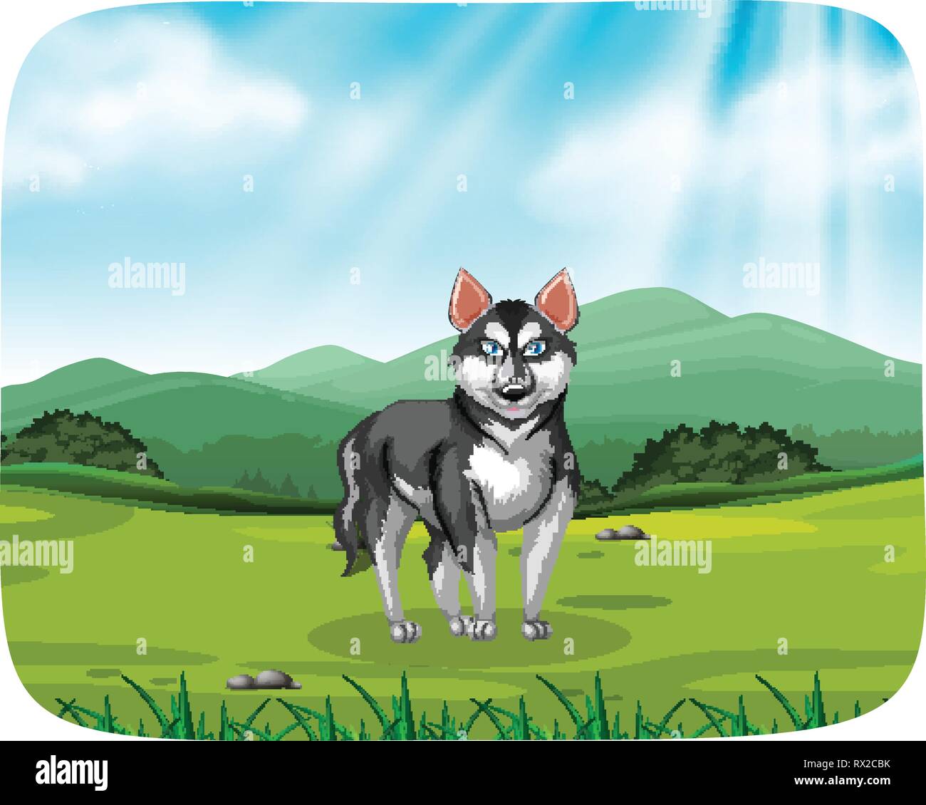 A husky in the pack background illustration Stock Vector Image & Art ...