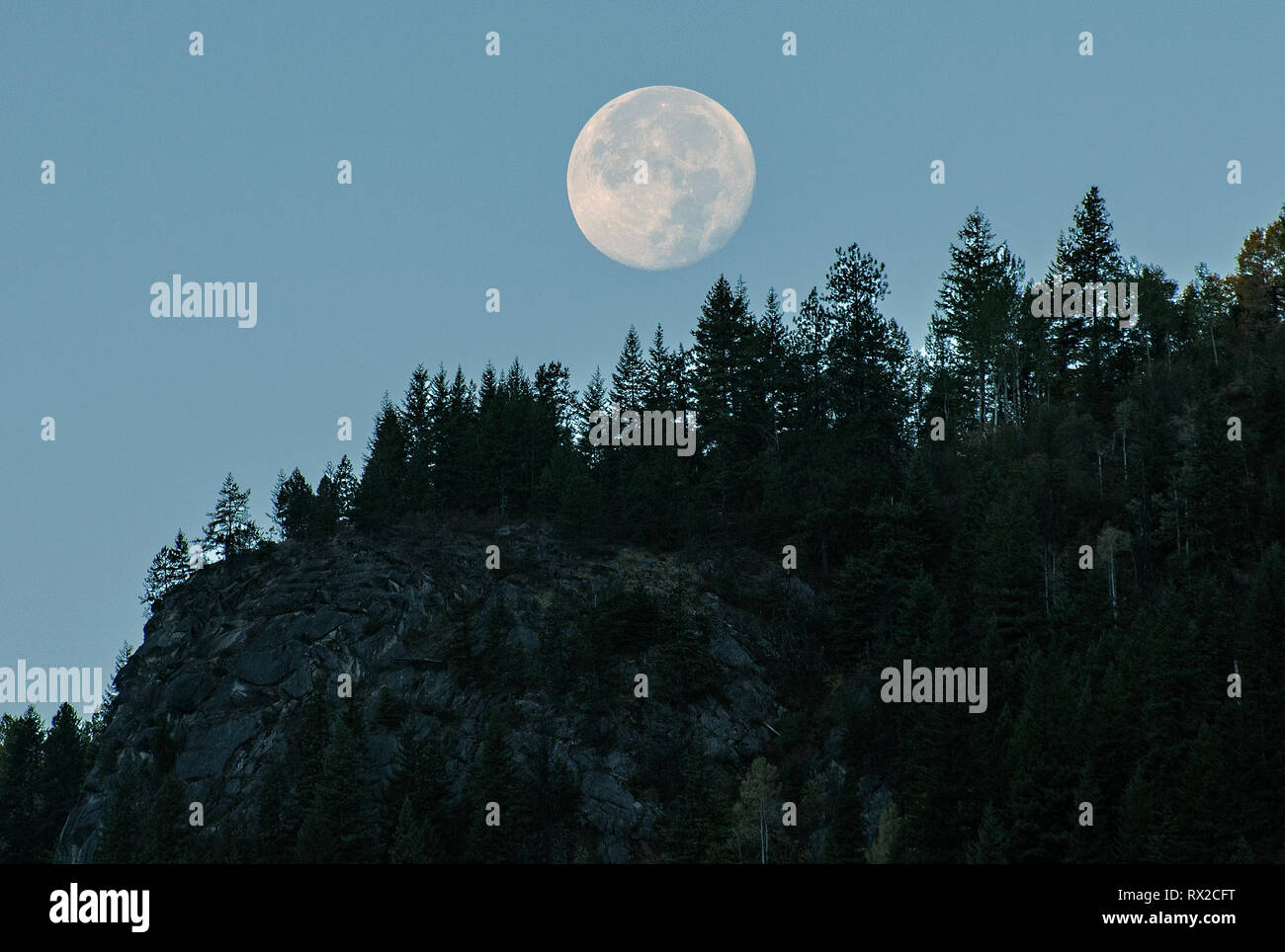 The full nelson hi-res stock photography and images - Alamy