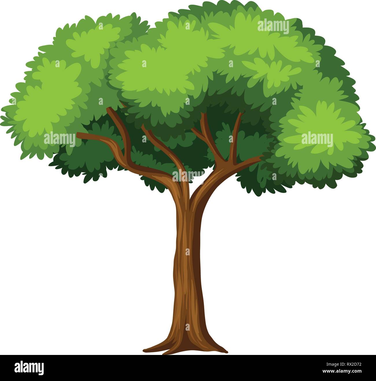 Isolated tree on white background illustration Stock Vector Image & Art ...