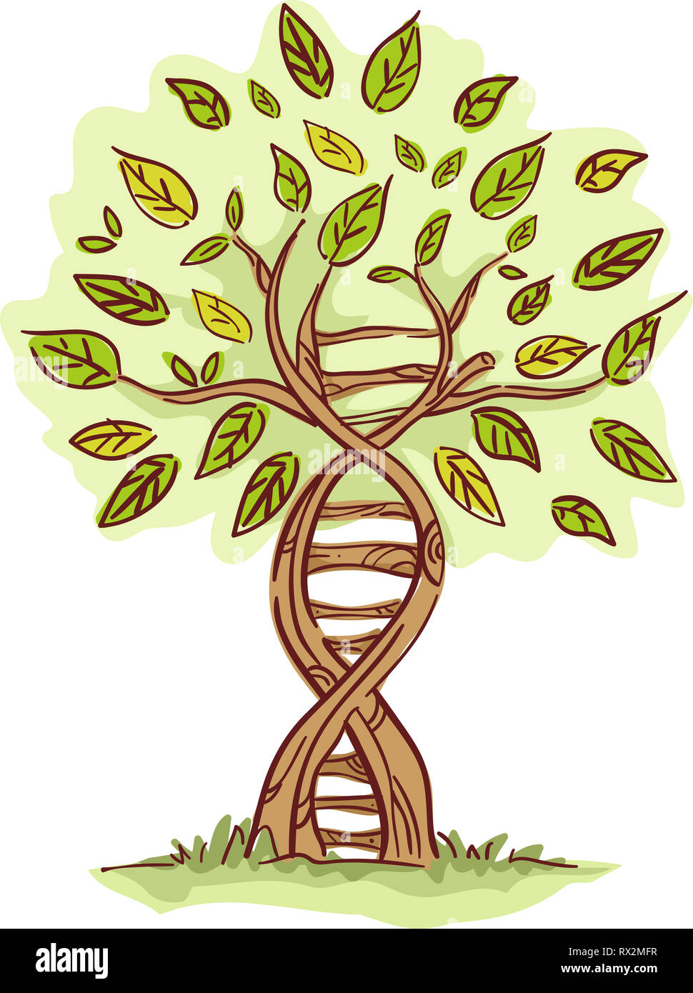 Dna Tree Drawing
