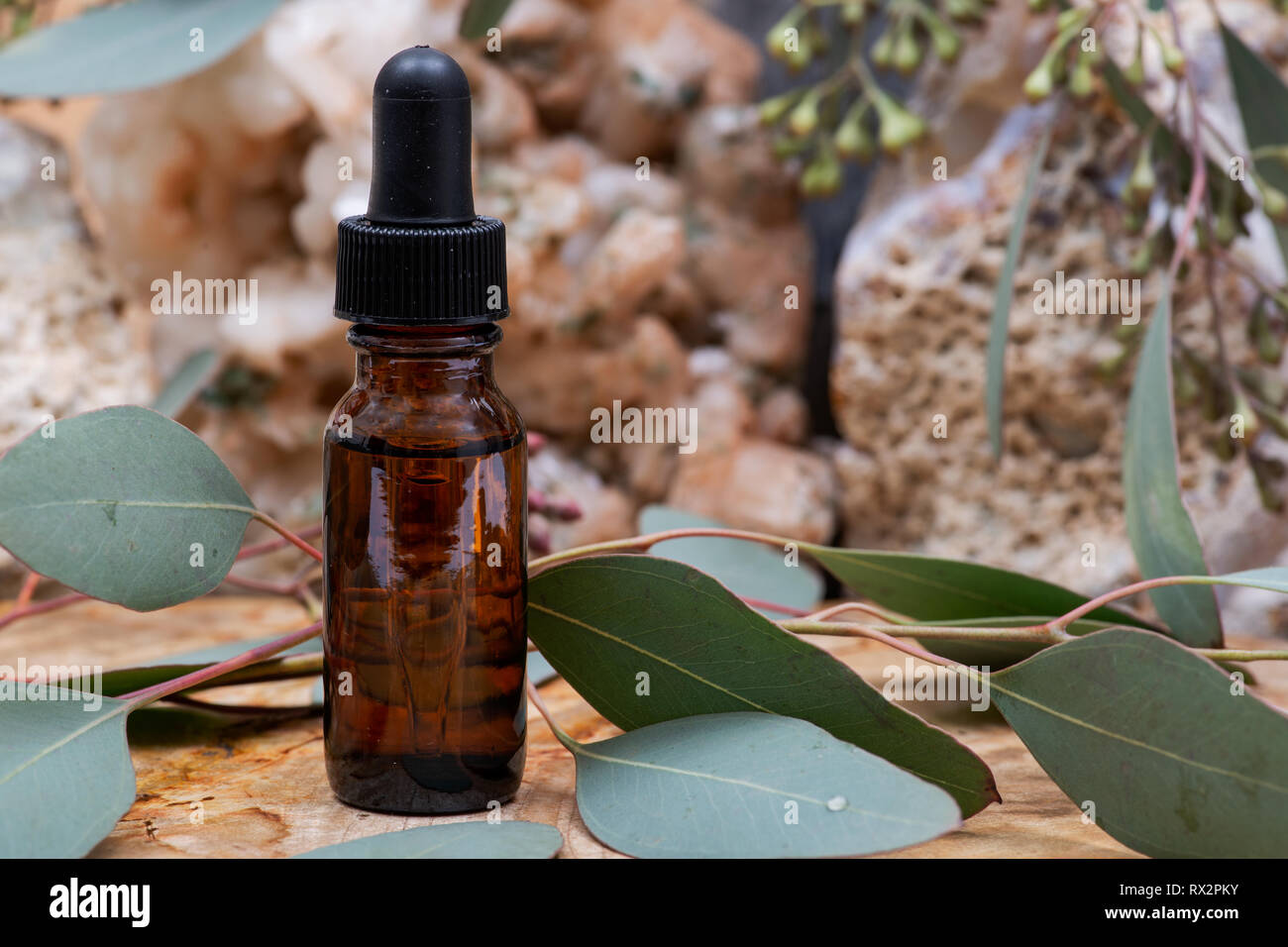 Eucalyptus Essential oil in Amber Round Glass Bottle with Glass Dropper ...
