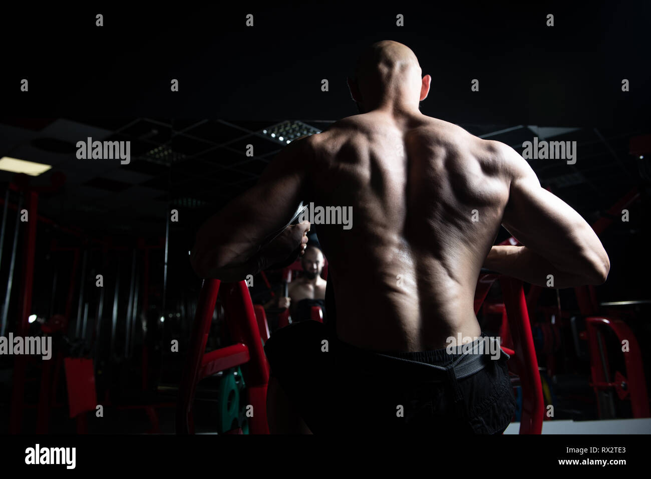 Handsome Bodybuilder Doing Heavy Weight Exercise For Back On Machine ...