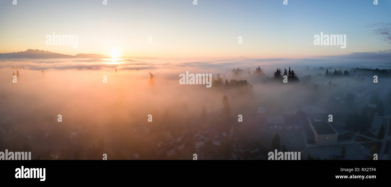 Aerial view of a residential neighborhood covered in a layer of fog ...