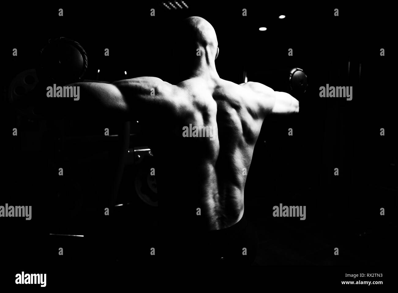 Muscular Fitness Bodybuilder Doing Heavy Weight Exercise For Shoulders ...