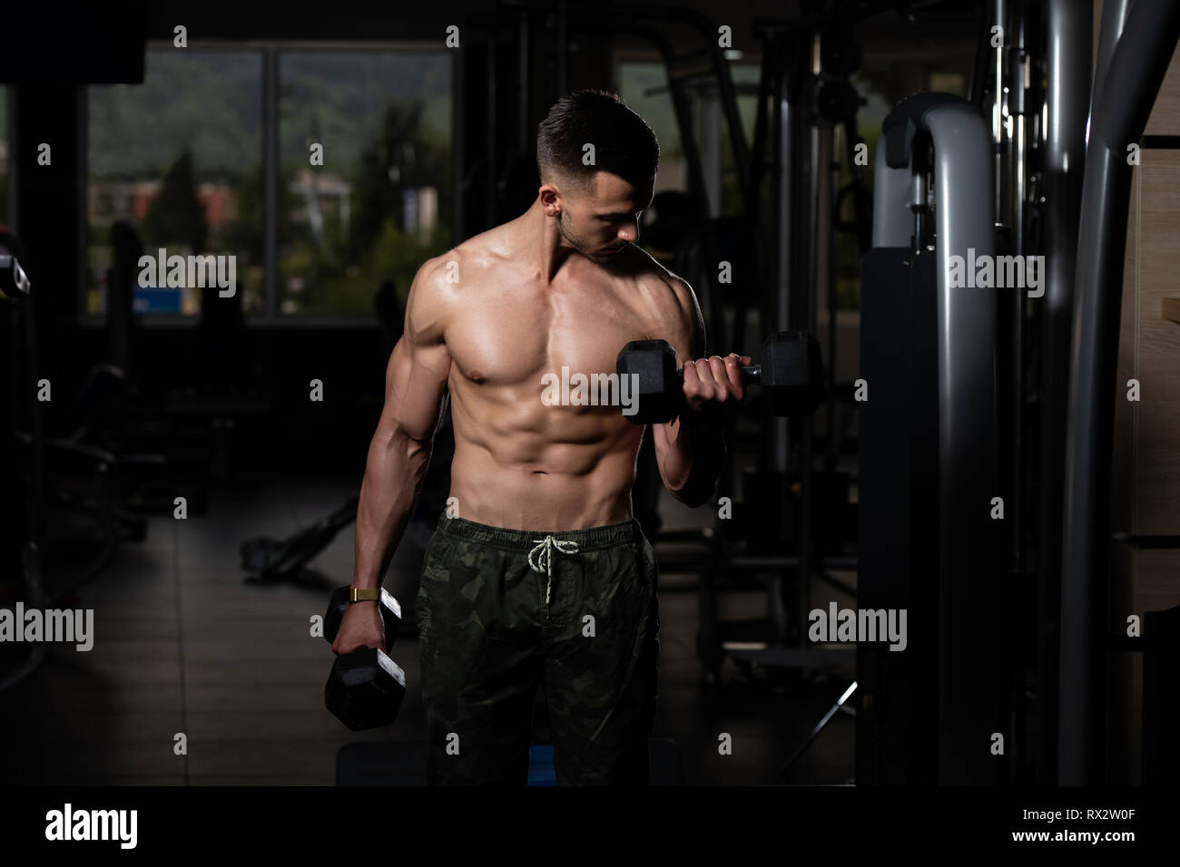 Man Working Out Biceps In A Gym - Dumbbell Concentration Curls Stock ...