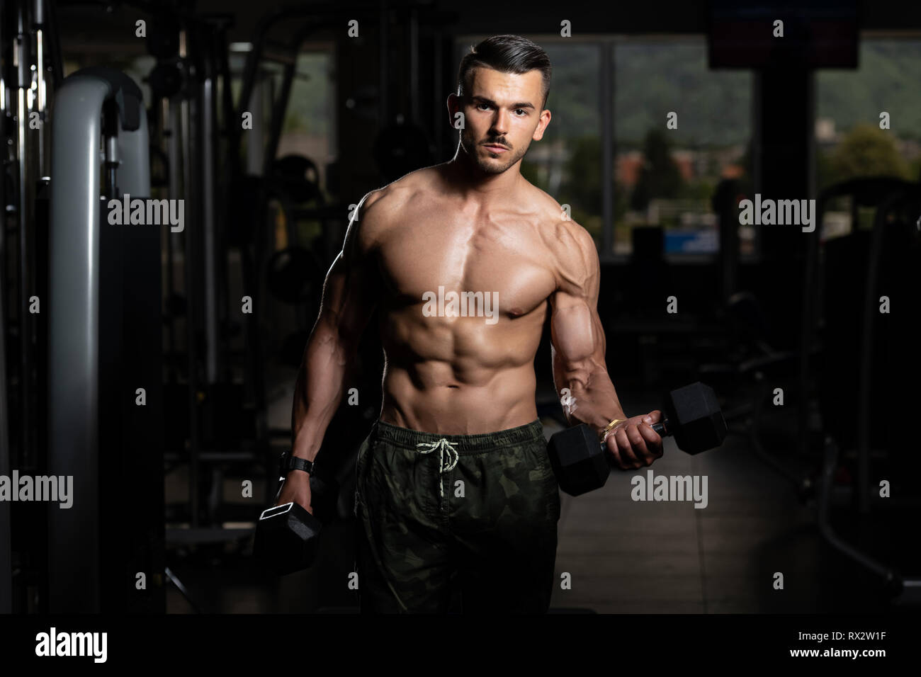 Man Working Out Biceps In A Gym - Dumbbell Concentration Curls Stock ...