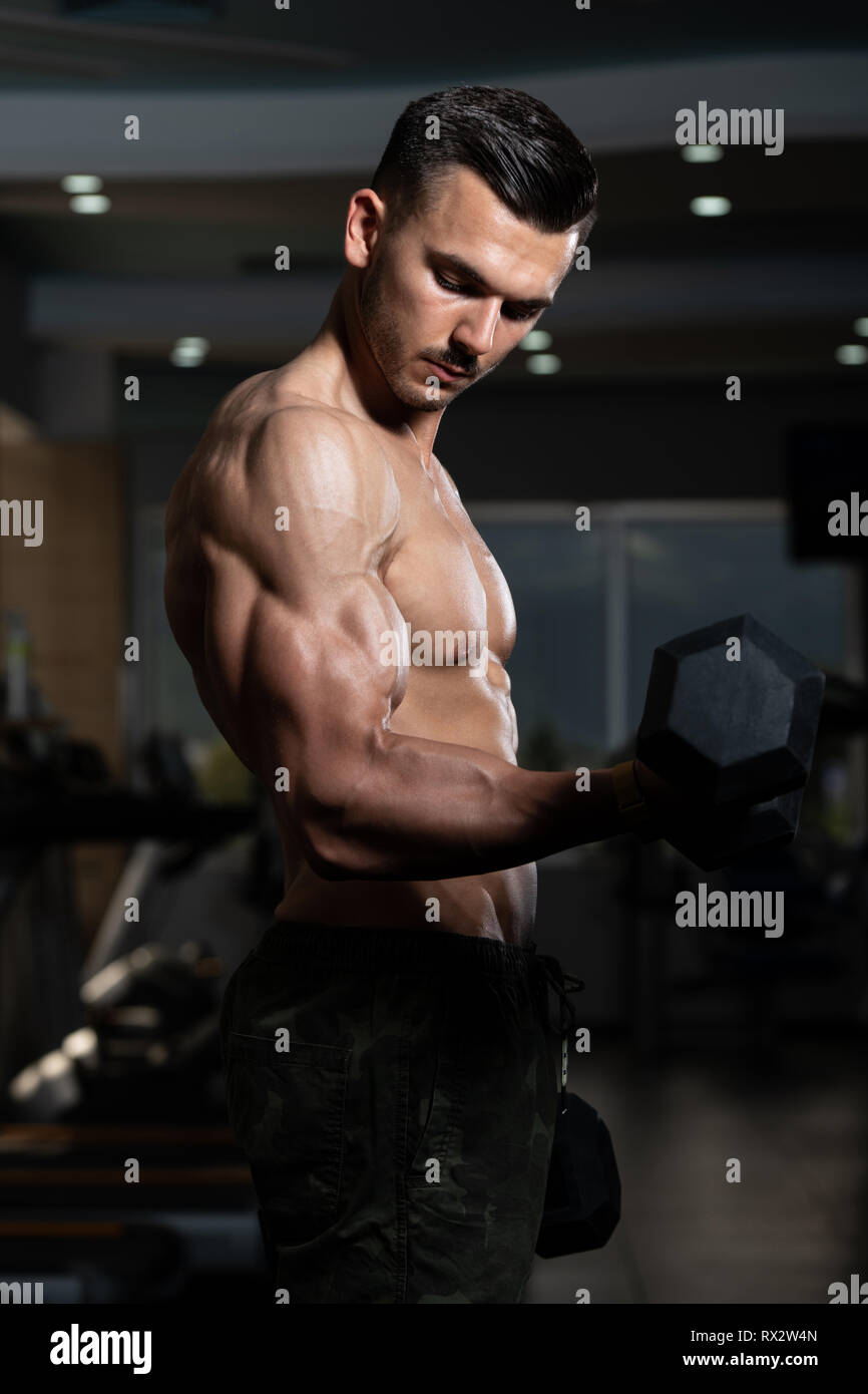 Athlete Working Out Biceps In A Gym - Dumbbell Concentration Curls ...