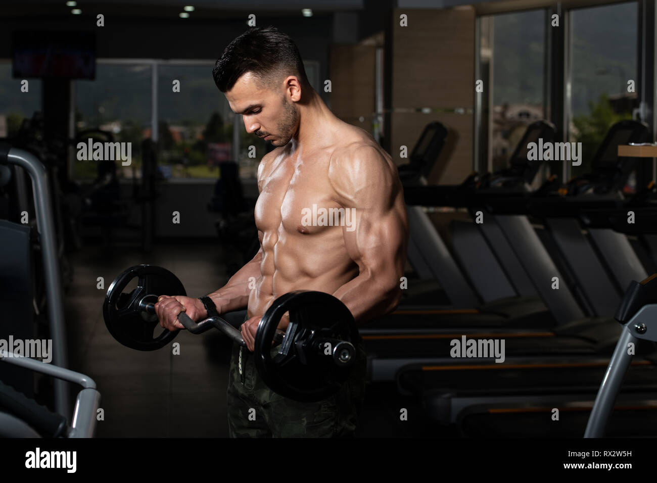 Athlete In The Gym Performing Biceps Curls With A Barbell Stock Photo ...