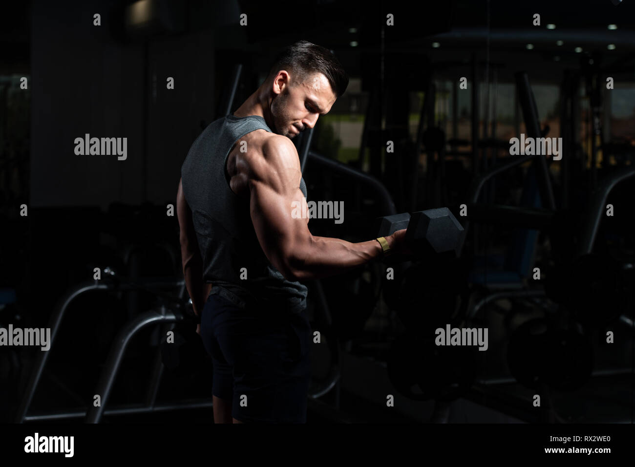 Man Working Out Biceps In A Gym - Dumbbell Concentration Curls Stock ...