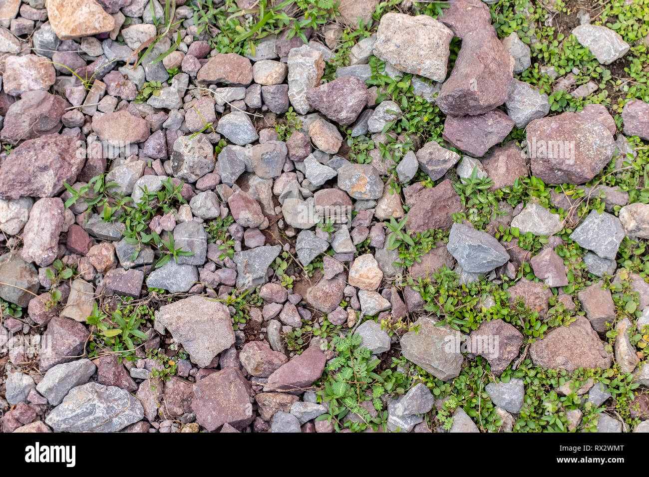 Top view the ground with rocks and small trees Stock Photo - Alamy