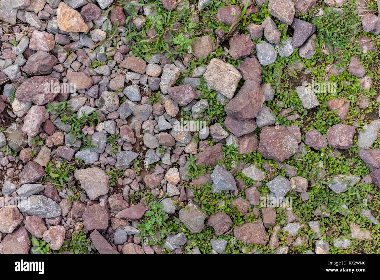 Top view the ground with rocks and small trees Stock Photo - Alamy