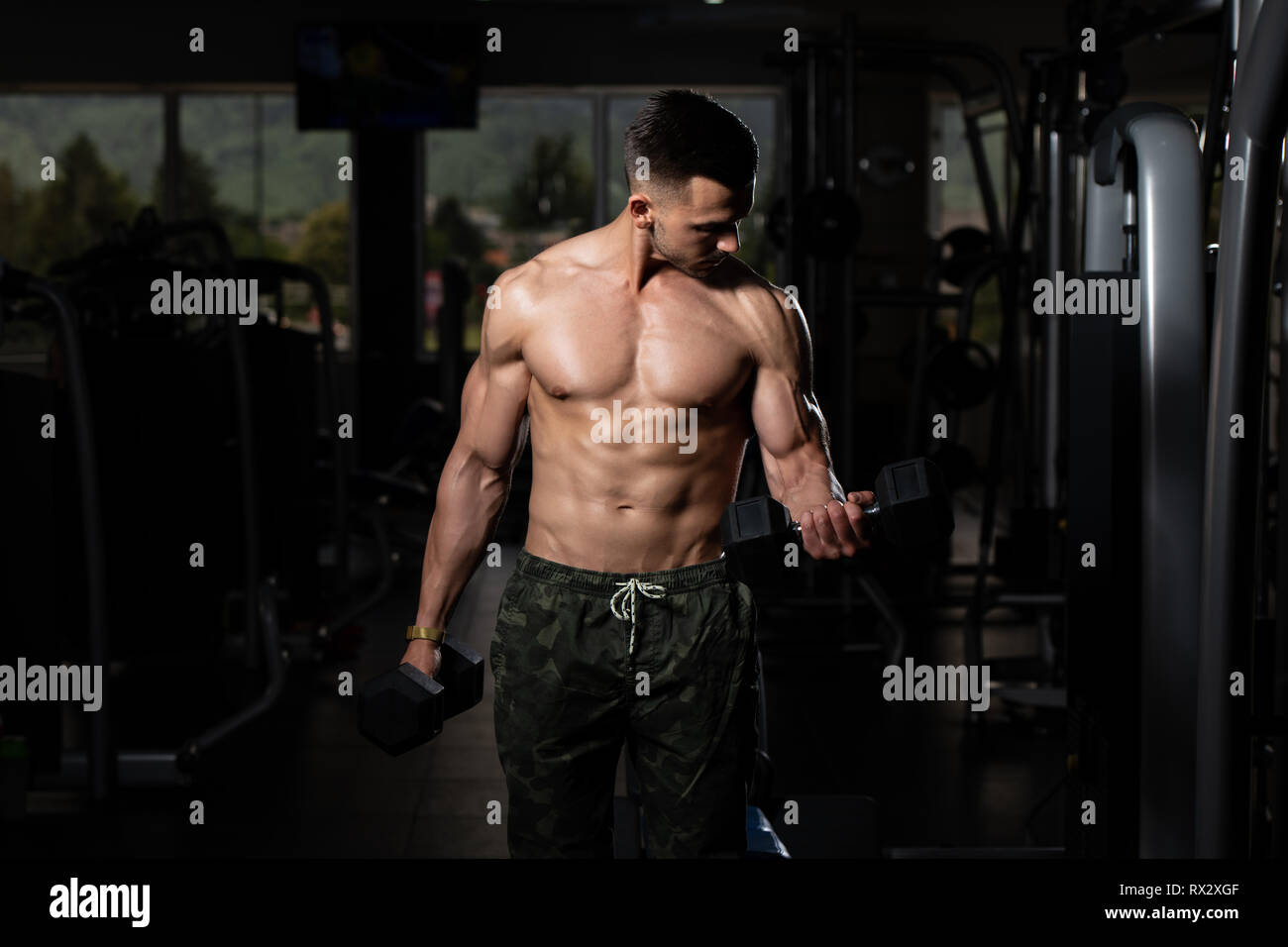 Man Working Out Biceps In A Gym - Dumbbell Concentration Curls Stock ...