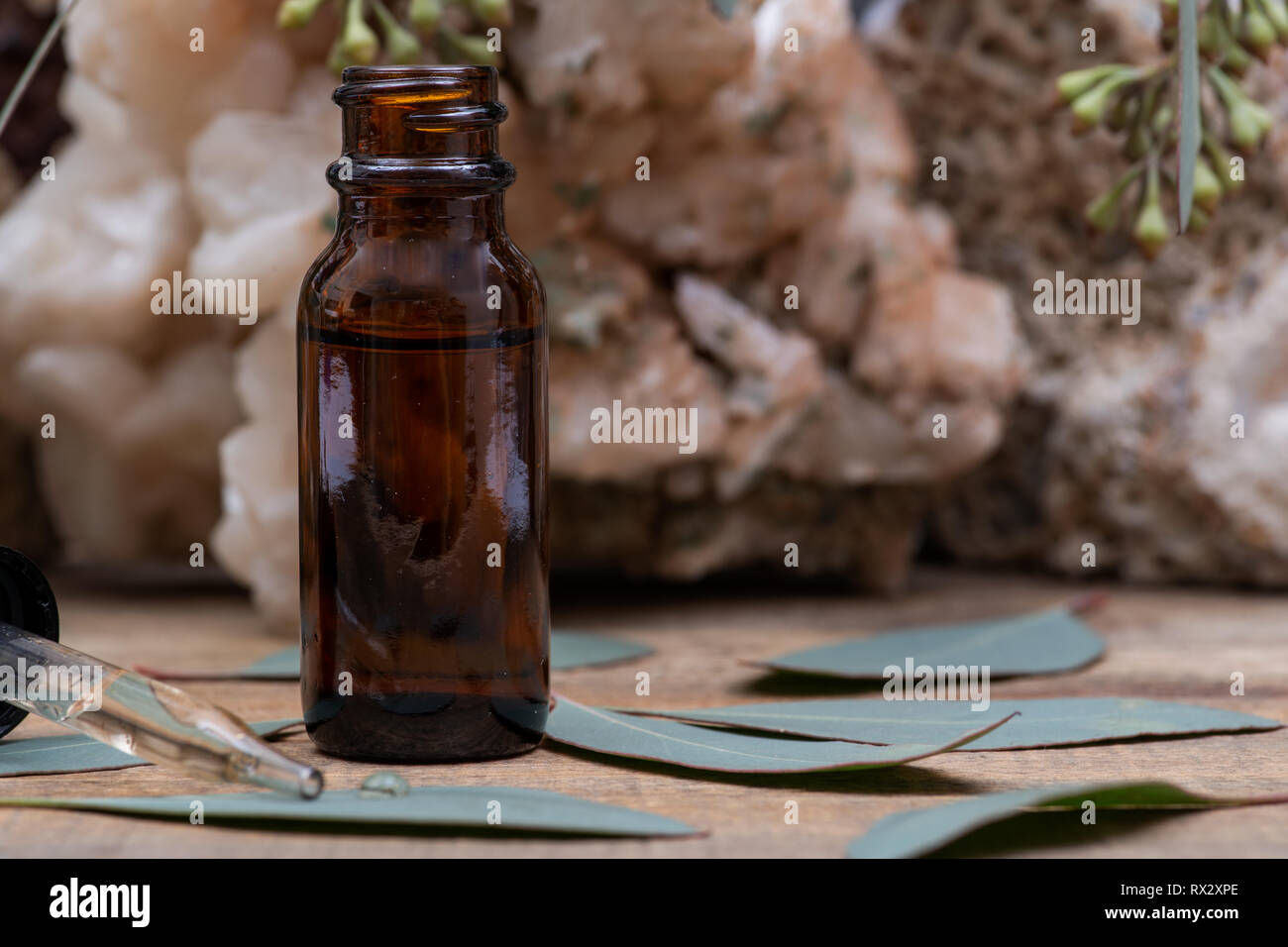 Eucalyptus Essential oil in Amber Round Glass Bottle with Glass Dropper ...