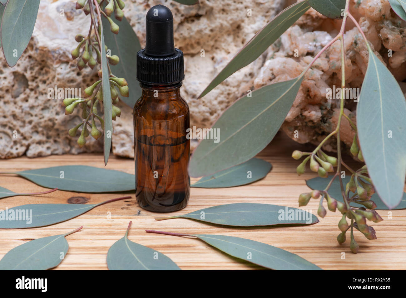 Eucalyptus Essential oil in Amber Round Glass Bottle with Glass Dropper ...