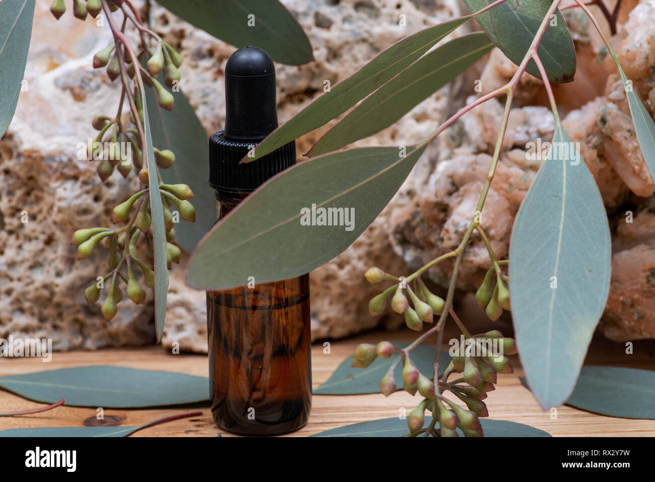 Eucalyptus Essential oil in Amber Round Glass Bottle with Glass Dropper ...