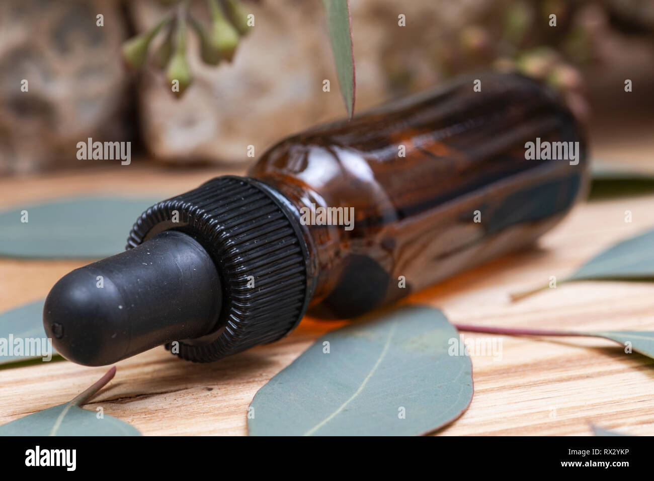 Eucalyptus Essential oil in Amber Round Glass Bottle with Glass Dropper ...