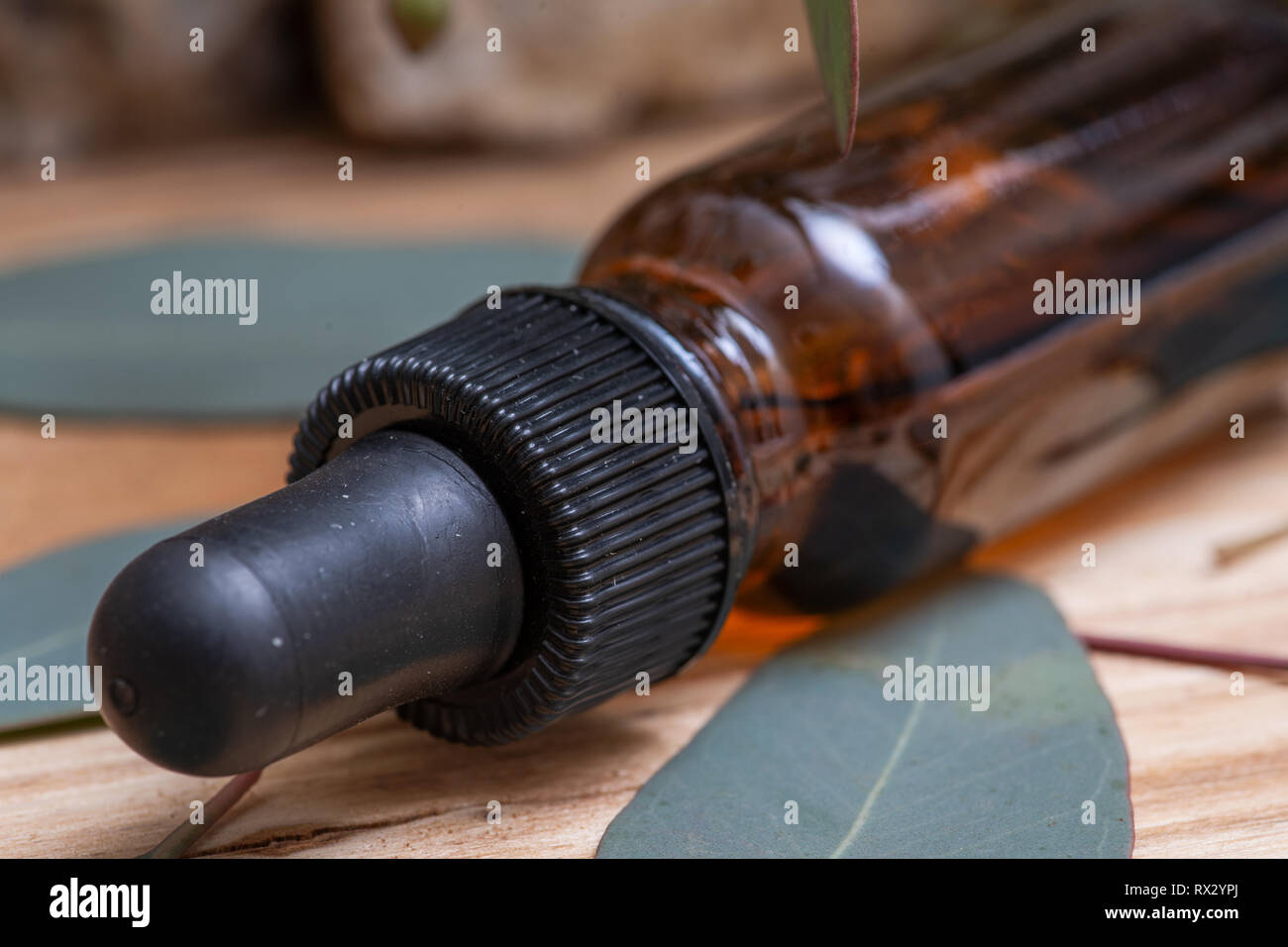 Eucalyptus Essential oil in Amber Round Glass Bottle with Glass Dropper ...