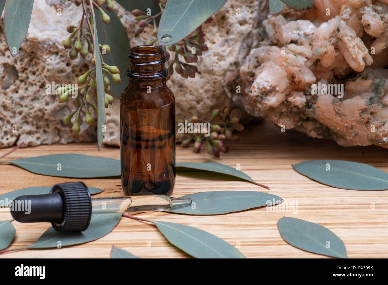 Eucalyptus Essential oil in Amber Round Glass Bottle with Glass Dropper ...