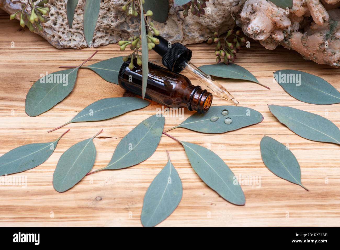 Eucalyptus Essential oil in Amber Round Glass Bottle with Glass Dropper ...