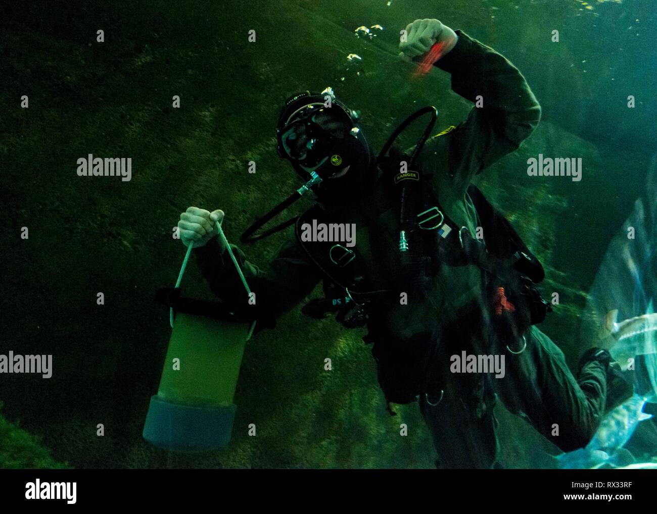 Mass swarming march hi-res stock photography and images - Alamy