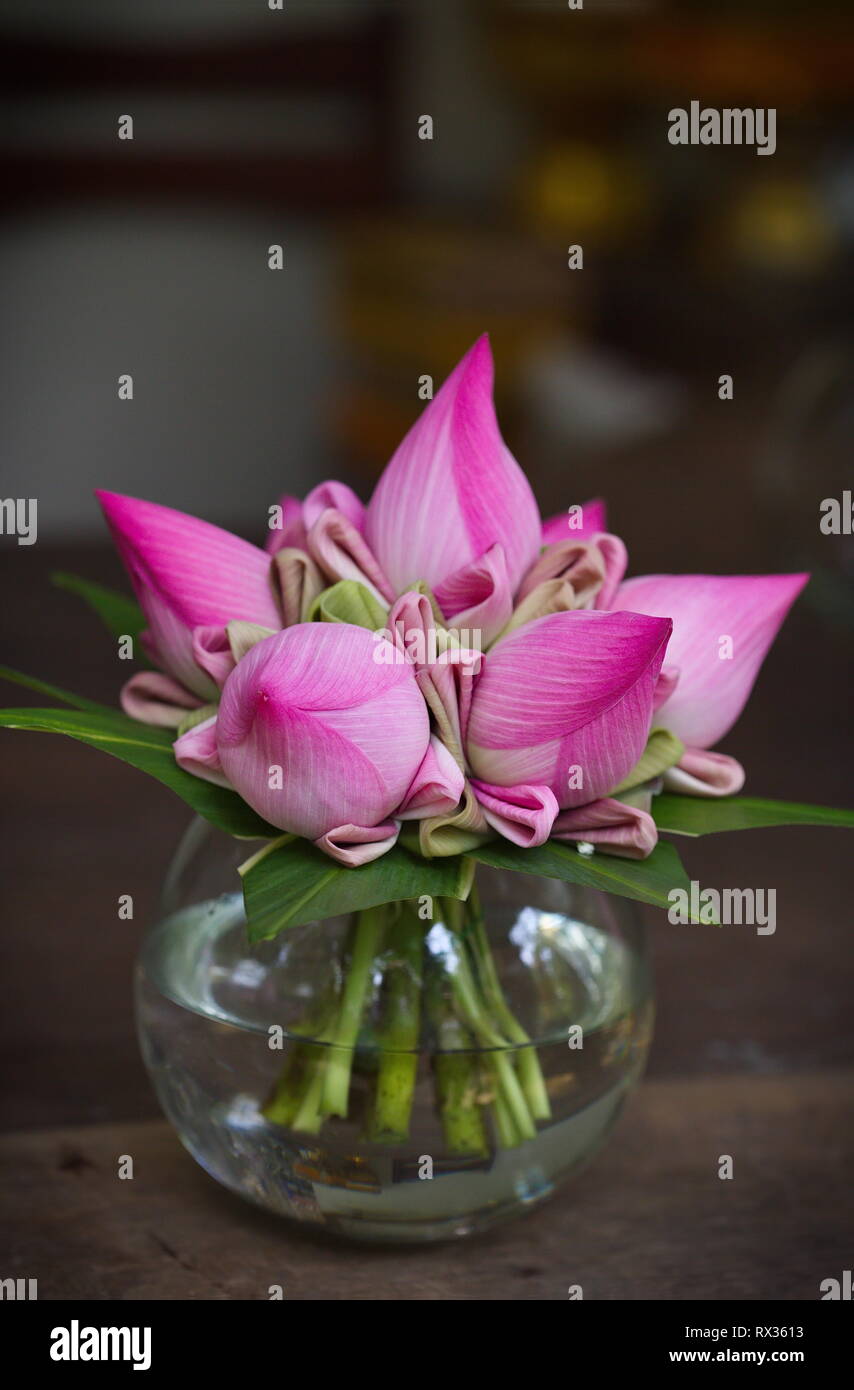 Bouquet of Pink lotus flower in a glass jar taken in natural daylight ...