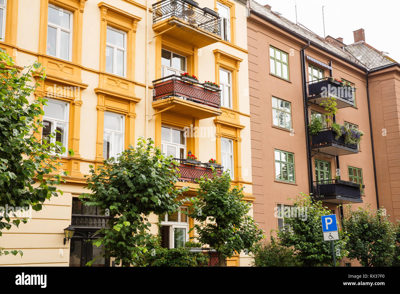 Tree building architecture hi-res stock photography and images - Alamy