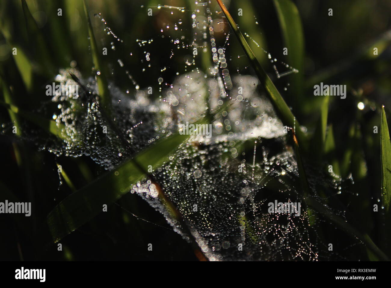 Occhio di foto hi-res stock photography and images - Alamy