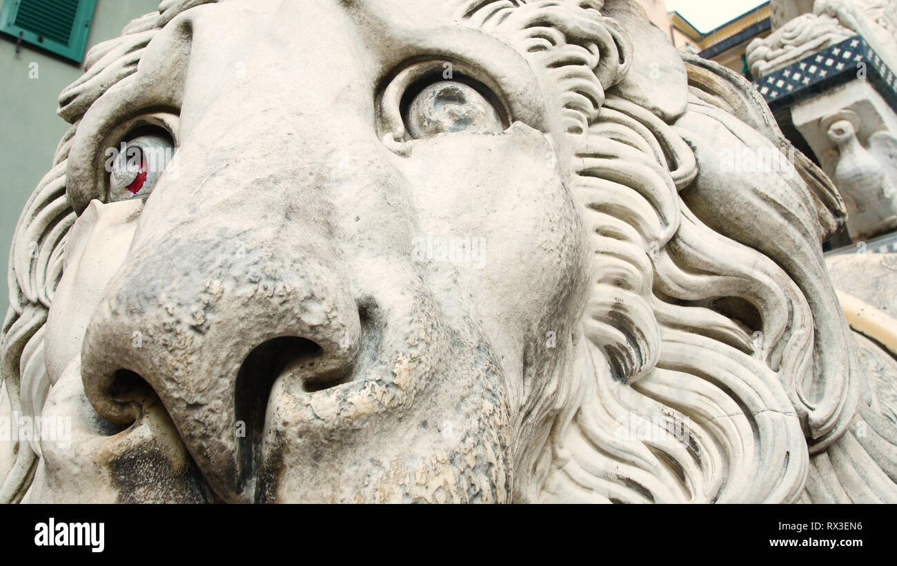detail, sculpture of a lion in the Cathedral of San Lorenzo (cathedral ...