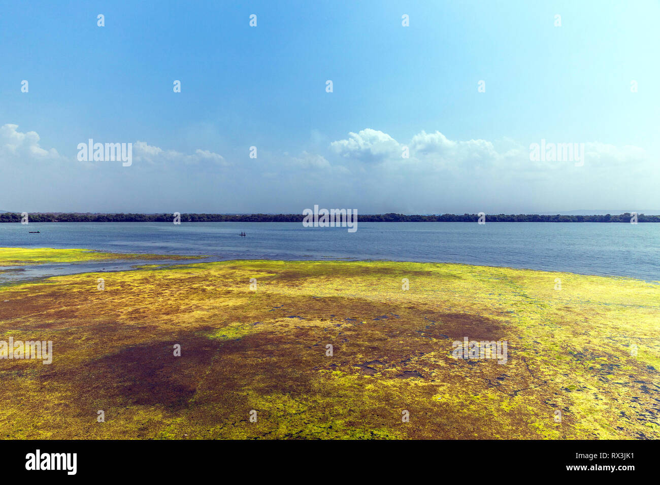 Cienega la virgen hi-res stock photography and images - Alamy