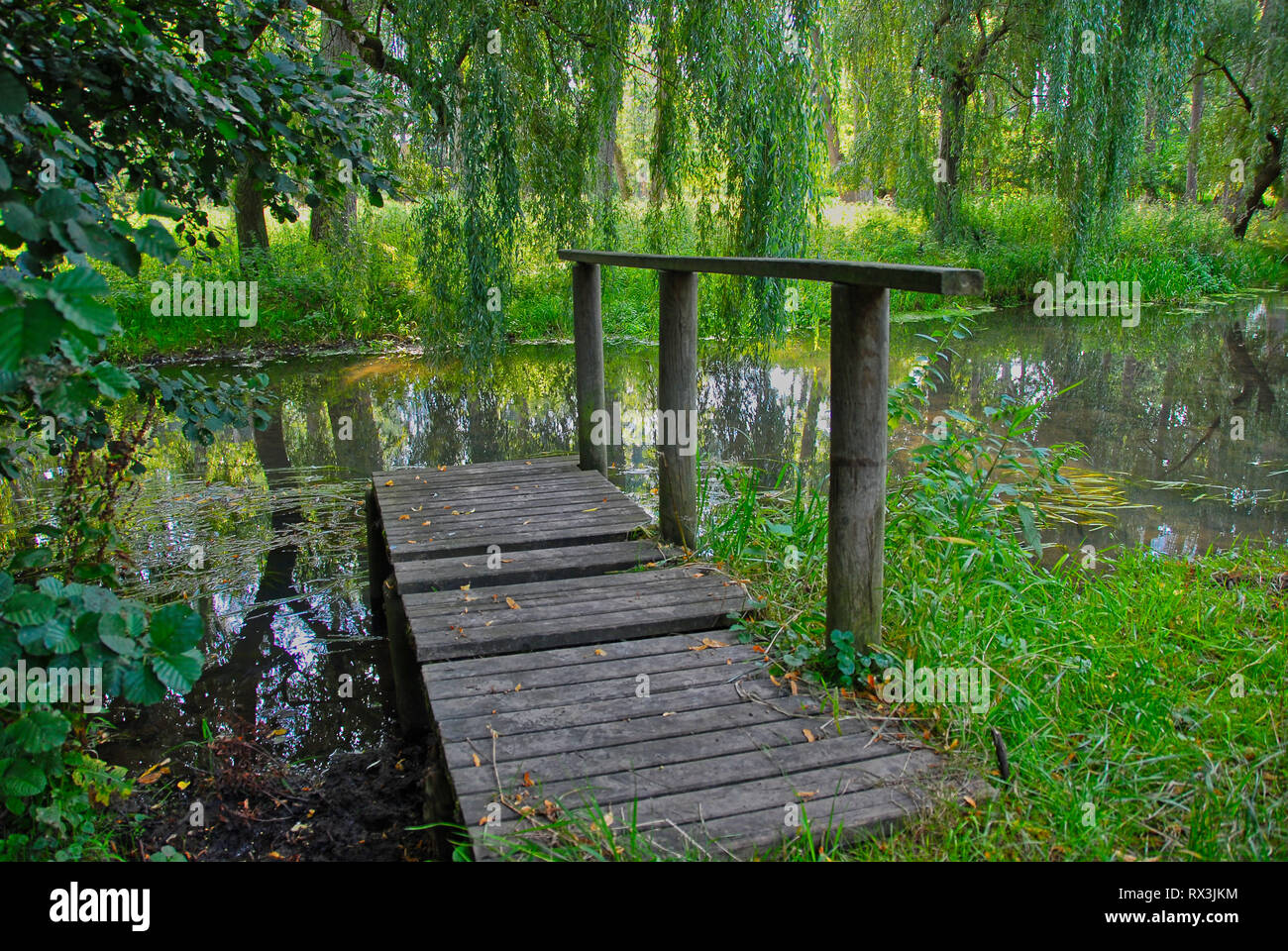 dilapidated bridge in green wilderness Stock Photo - Alamy