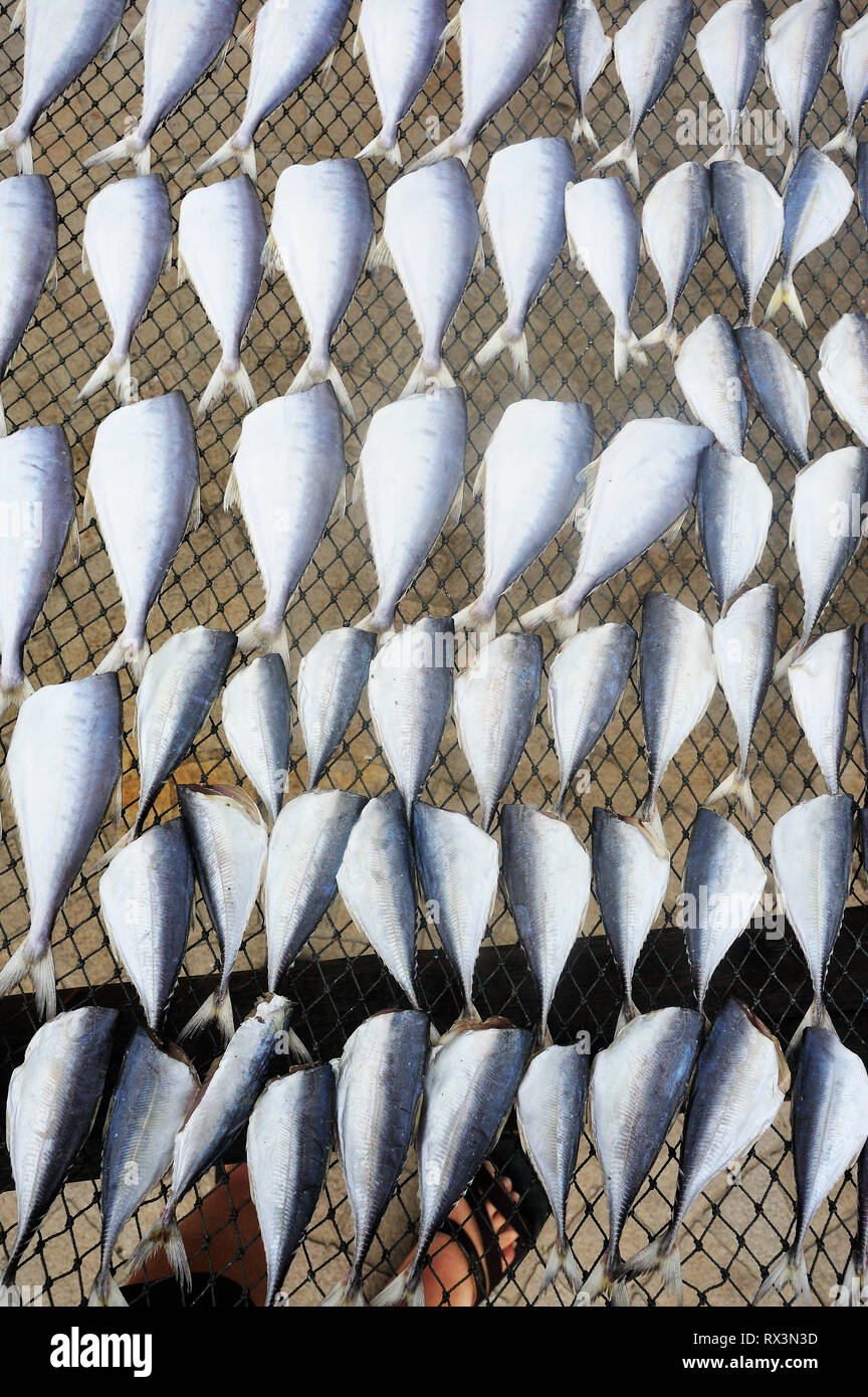 Outdoor fish drying rack hi-res stock photography and images - Alamy