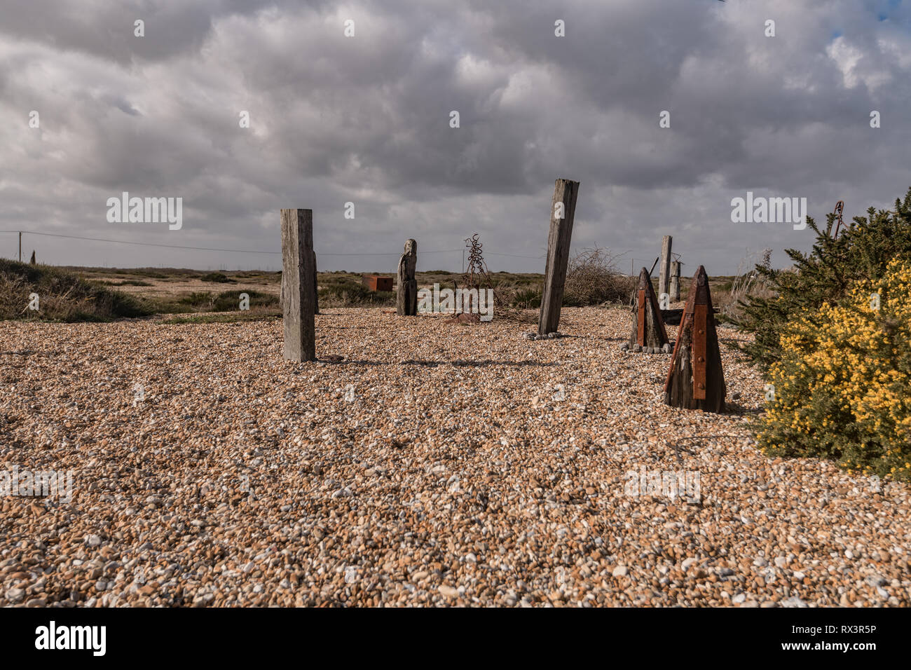 Garden in dungeness hi-res stock photography and images - Alamy
