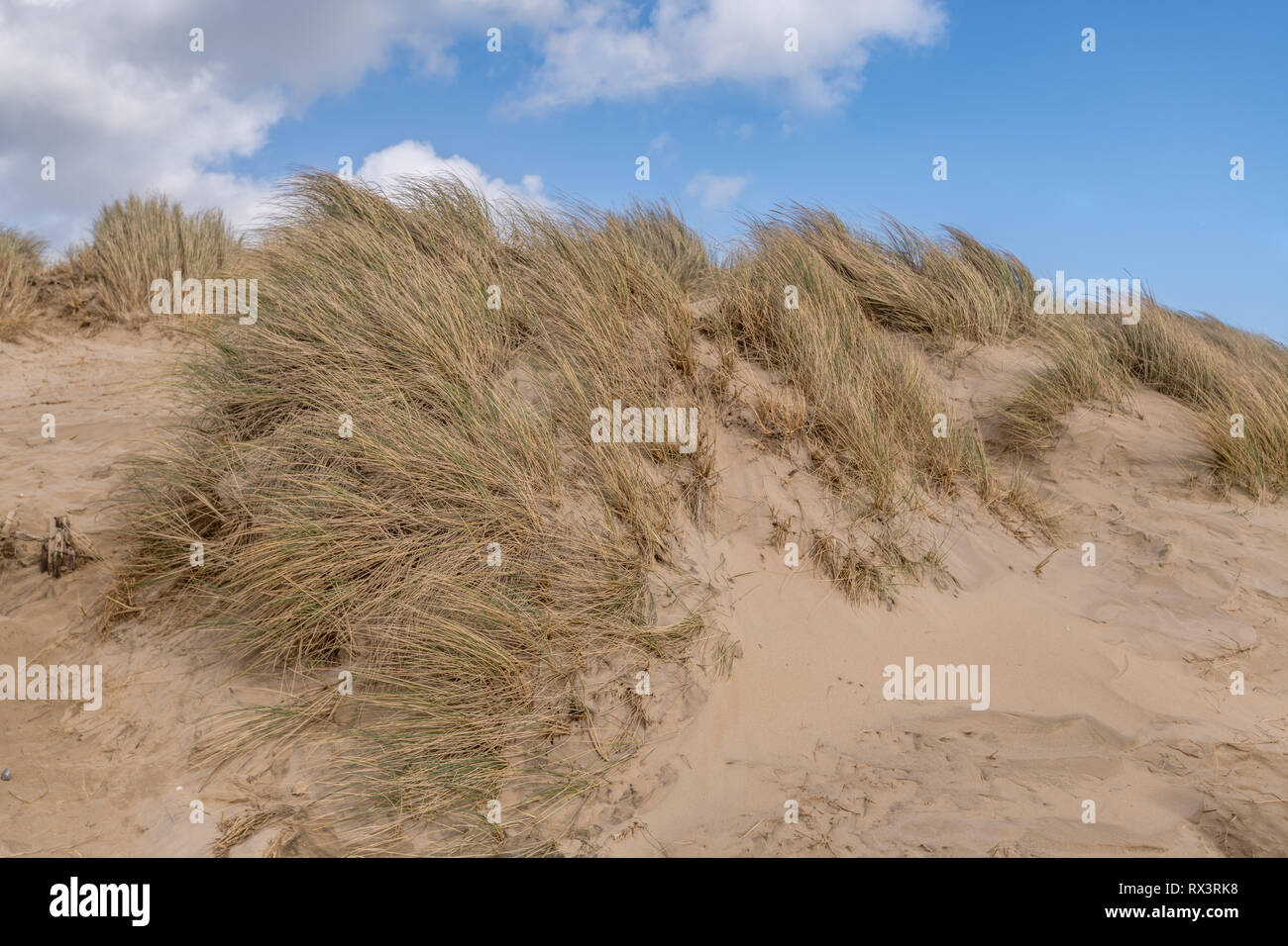 Dunes camber sands beach east hi-res stock photography and images - Alamy